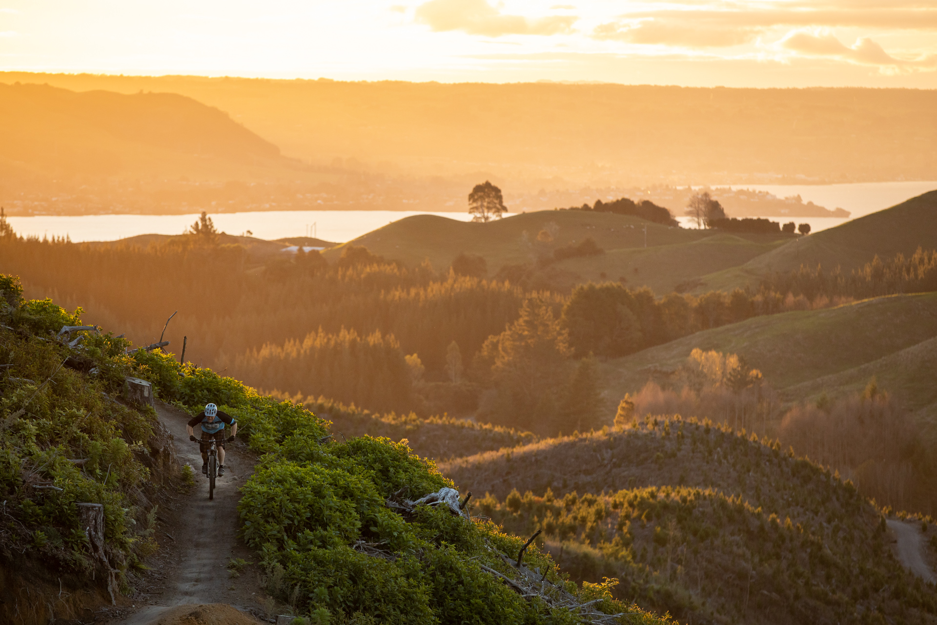Gallery - Rotorua Mountain Bike Club